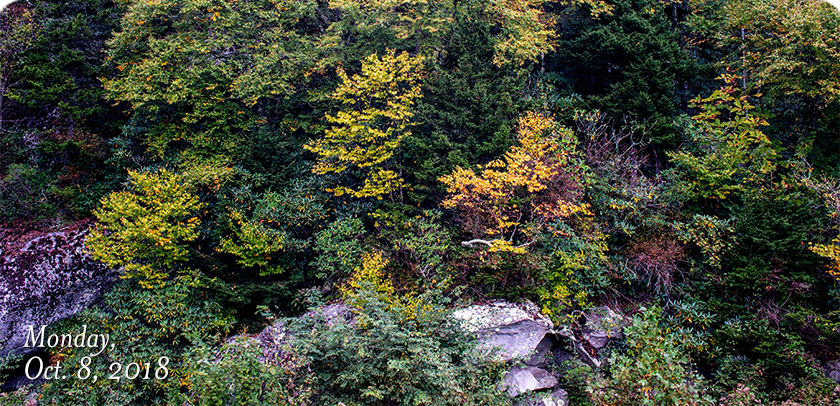 GRANDFATHER MOUNTAIN : Wonders Never Cease | Towering almost 6,000 feet ...