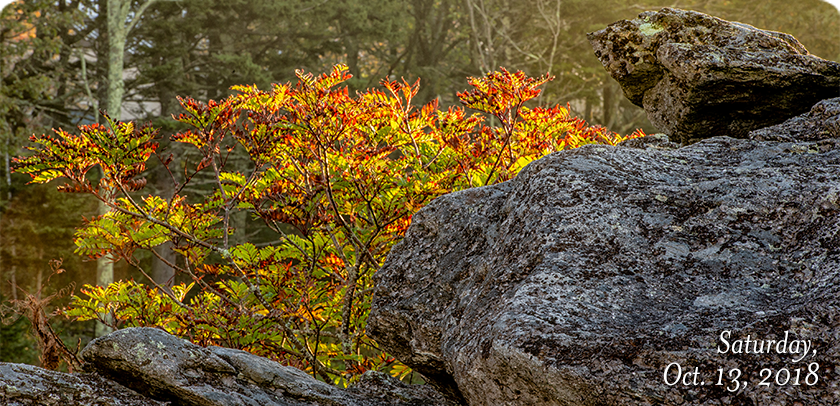 GRANDFATHER MOUNTAIN : Wonders Never Cease | Towering almost 6,000 feet ...