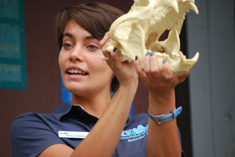 Mobile Outreach Programs - Grandfather Mountain