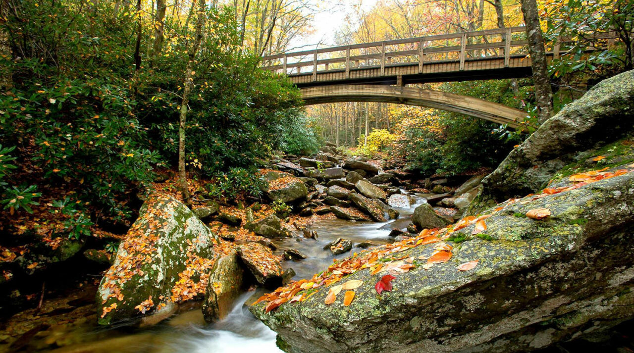 East Side Trails - Grandfather Mountain