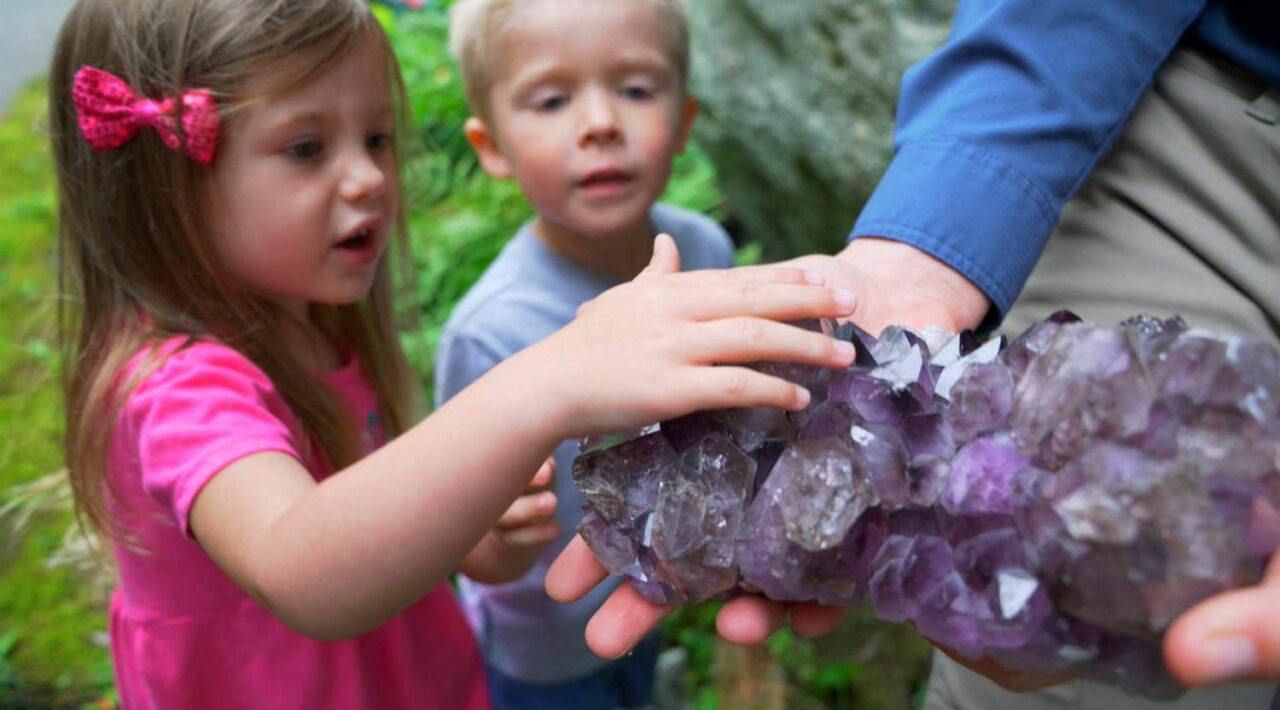 About our Foundation - Grandfather Mountain