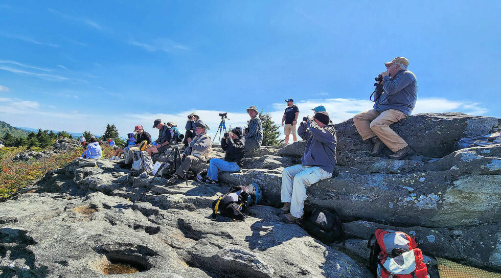 Hawk Watch Report 2022 - Grandfather Mountain