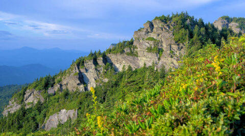 16 Natural Communities - Grandfather Mountain