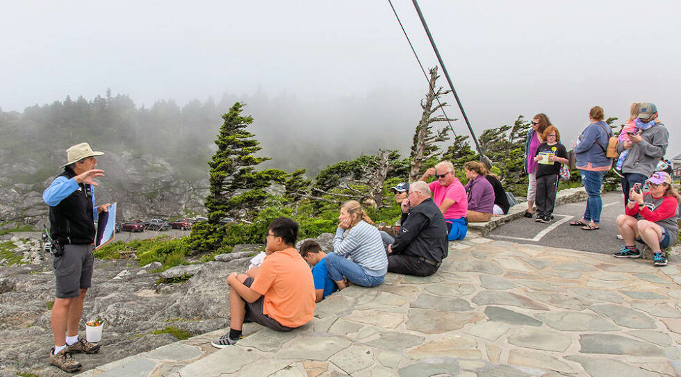 Spring Fun - Grandfather Mountain