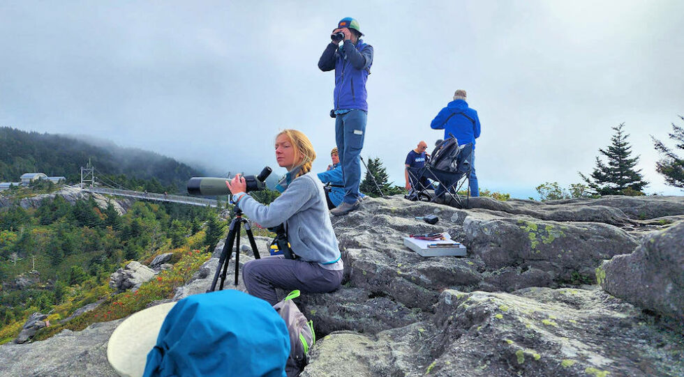 2023 Hawk Watch Report - Grandfather Mountain
