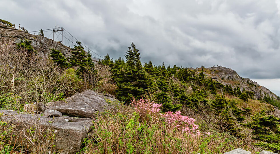 May 2024 Weather Report - Grandfather Mountain