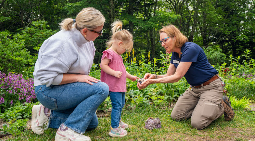 Junior Naturalist - Grandfather Mountain