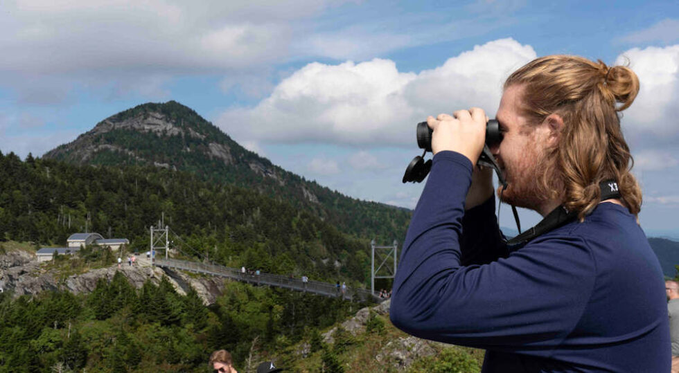 Hawk Watch 2024 Report - Grandfather Mountain