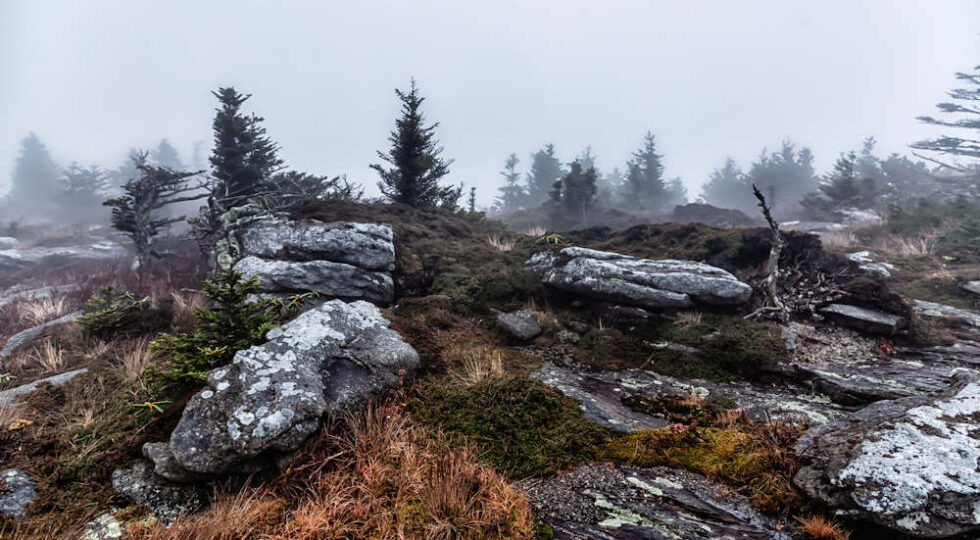 November 2024 Weather Report - Grandfather Mountain